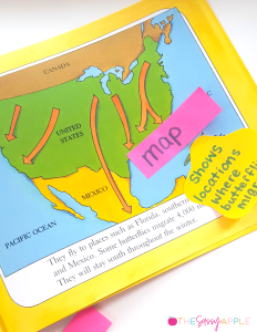 Teach Nonfiction Text Features (Free Graphic Organizer) - The Sassy Apple